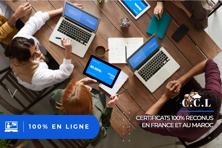 Formation en Expertise Approfondie en Développement ERP Spécifique pour le Leadership ...