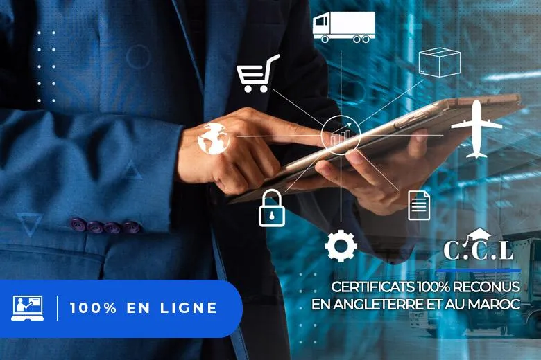 Formation en Maîtrise des ERP : Excellence en E-Logistique et Gestion ...